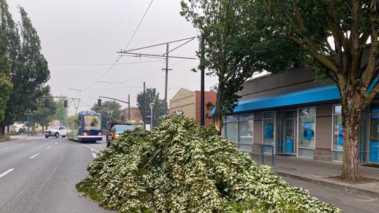 High Wind Warning in effect for NW Oregon, SW Washington | kgw.com