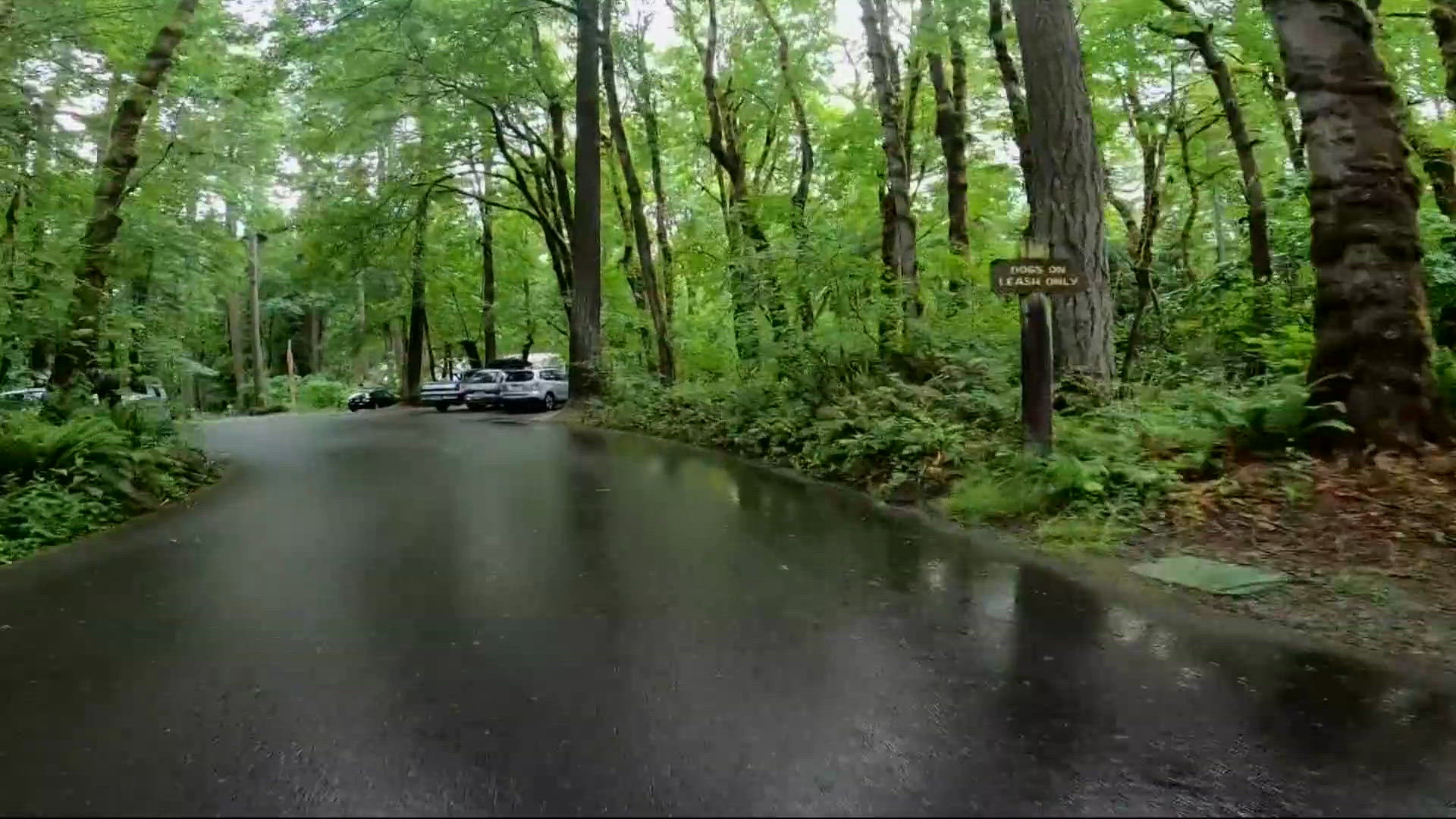 Check out Oregon State Parks with your library card | kgw.com