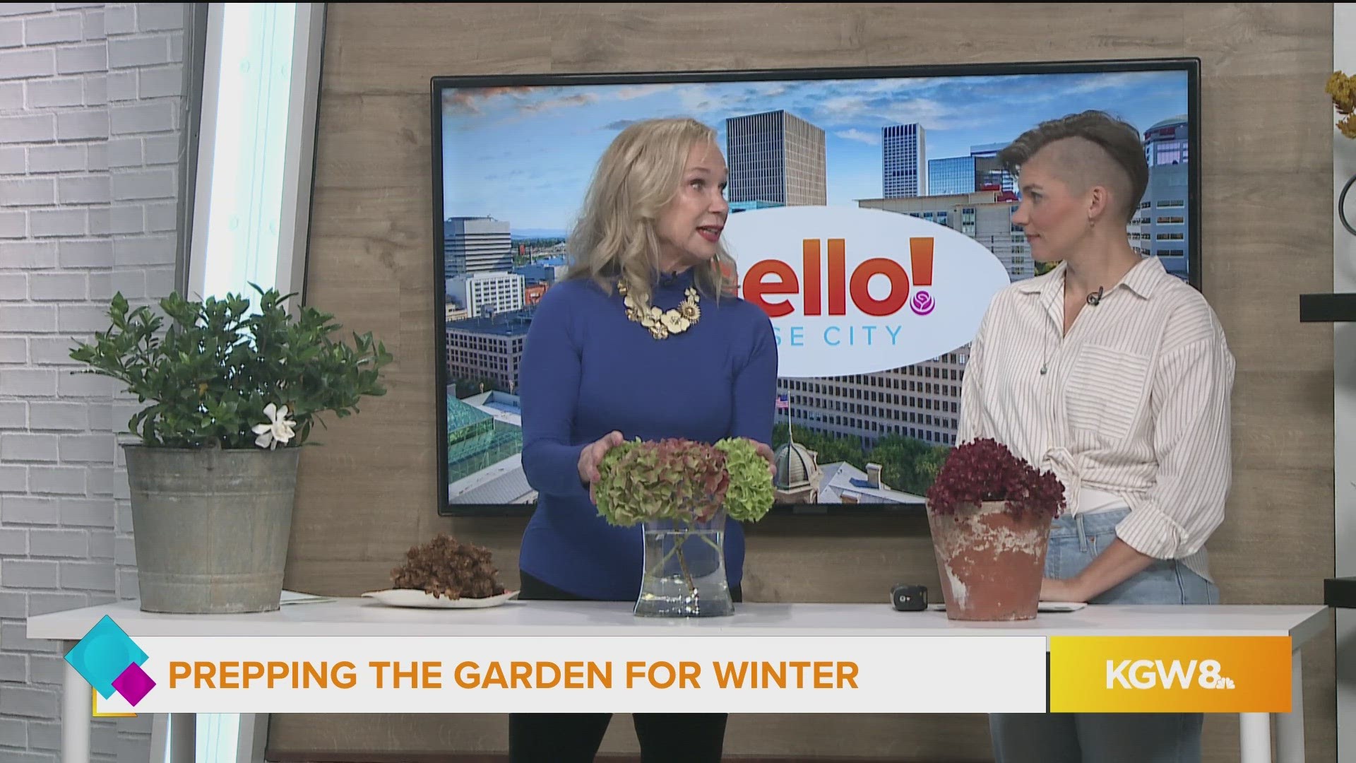 Fall garden cleanup with Garden Gal Anne Jaeger | kgw.com
