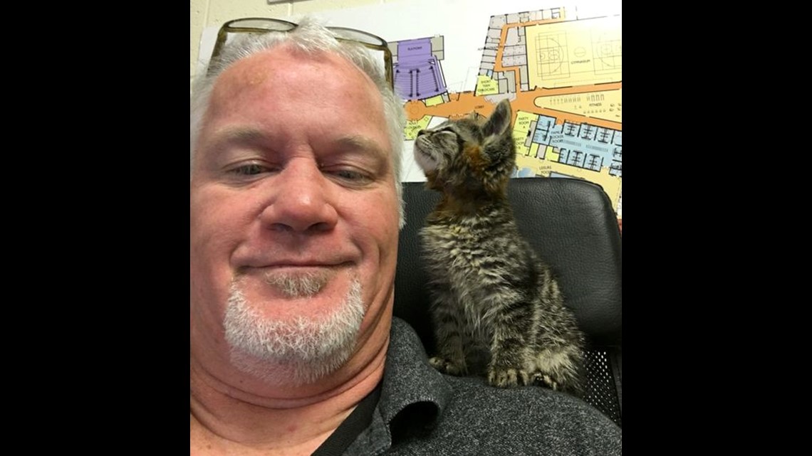Sticky the kitty: Kitten glued to Salem road rescued by driver | kgw.com