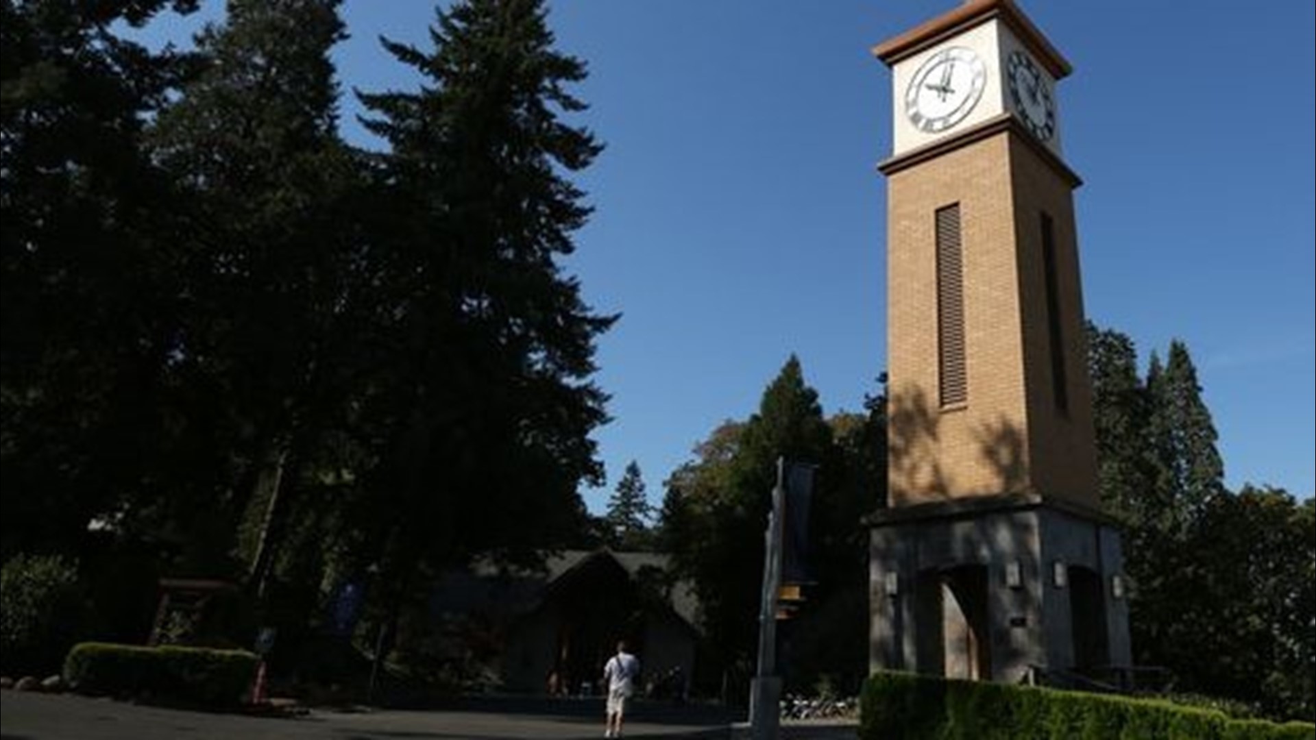 Top 10 colleges, universities in Oregon | kgw.com