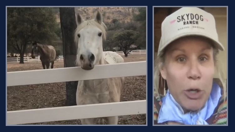 Oregon rancher saves horses from California wildfire | kgw.com