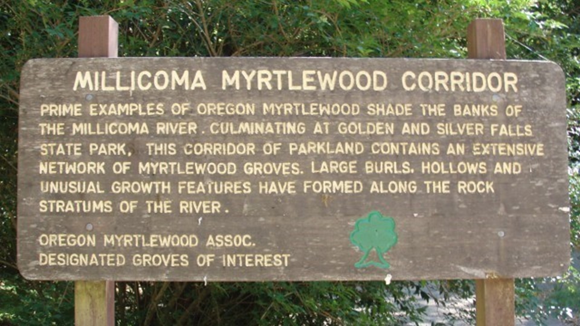 Explore three spots in Oregon's Shangri-La by the sea | kgw.com