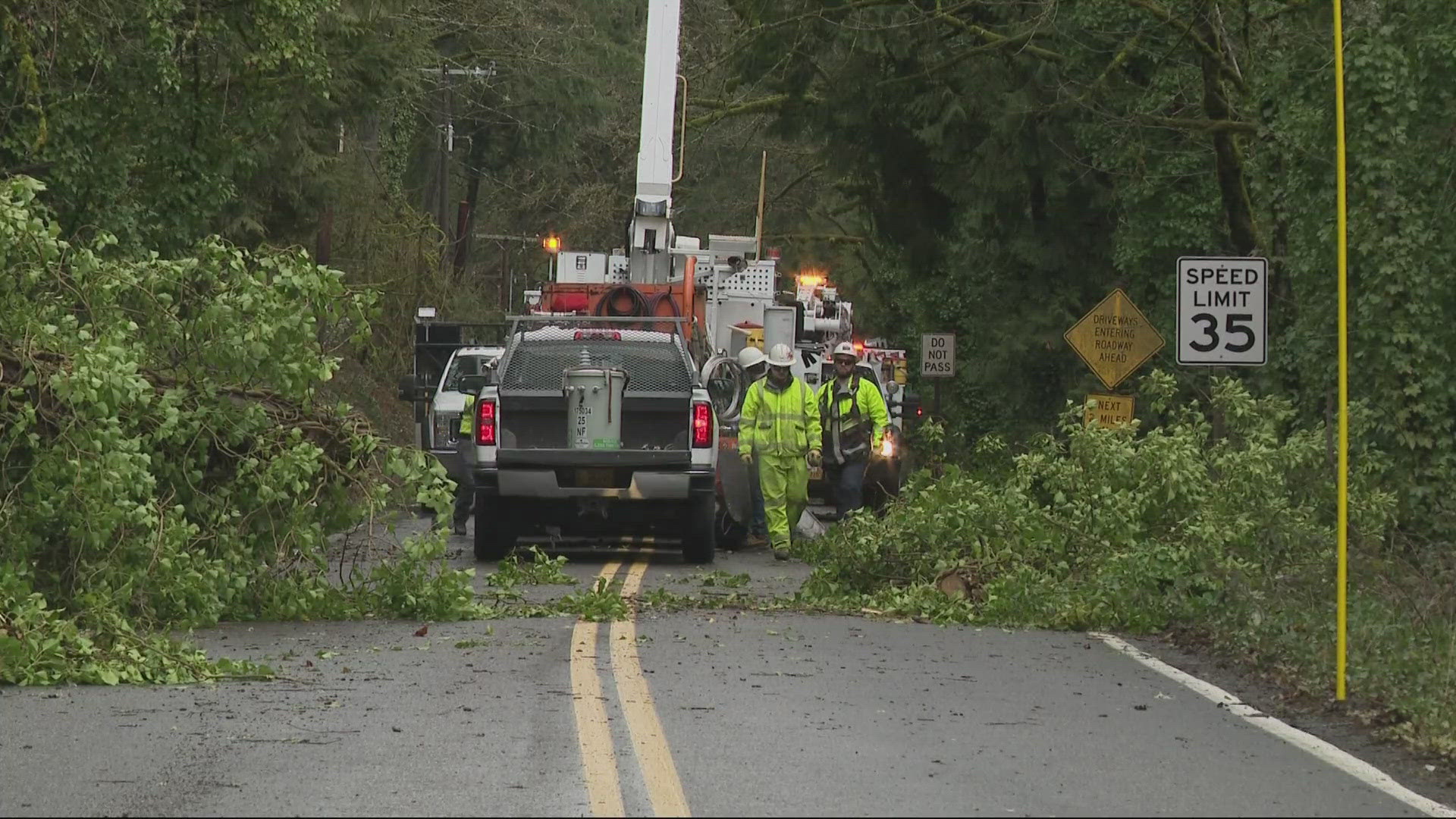 Portland metro area cleaning up after windstorm downs trees, power ...