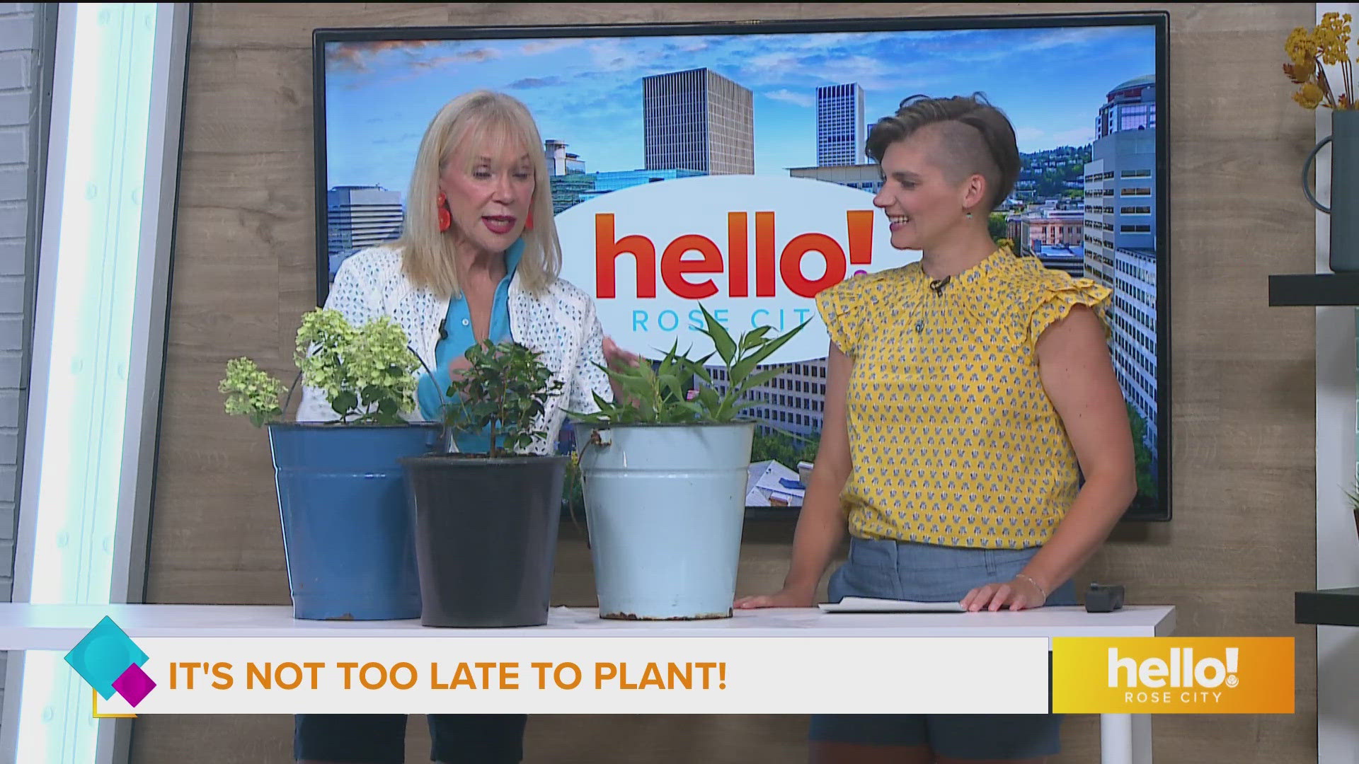 It's not too late to start planting | kgw.com