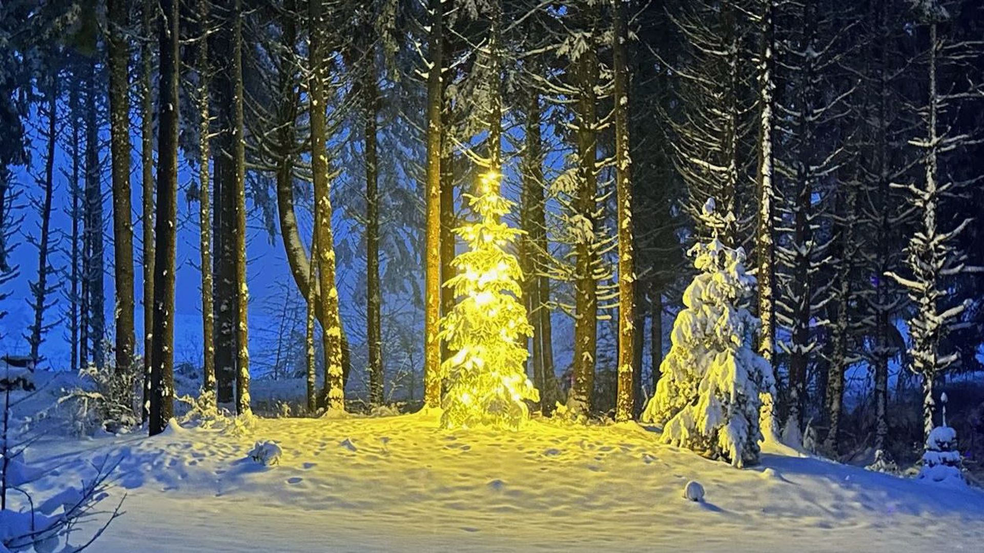 Winter storm in Oregon: Record snow falls in Portland | kgw.com