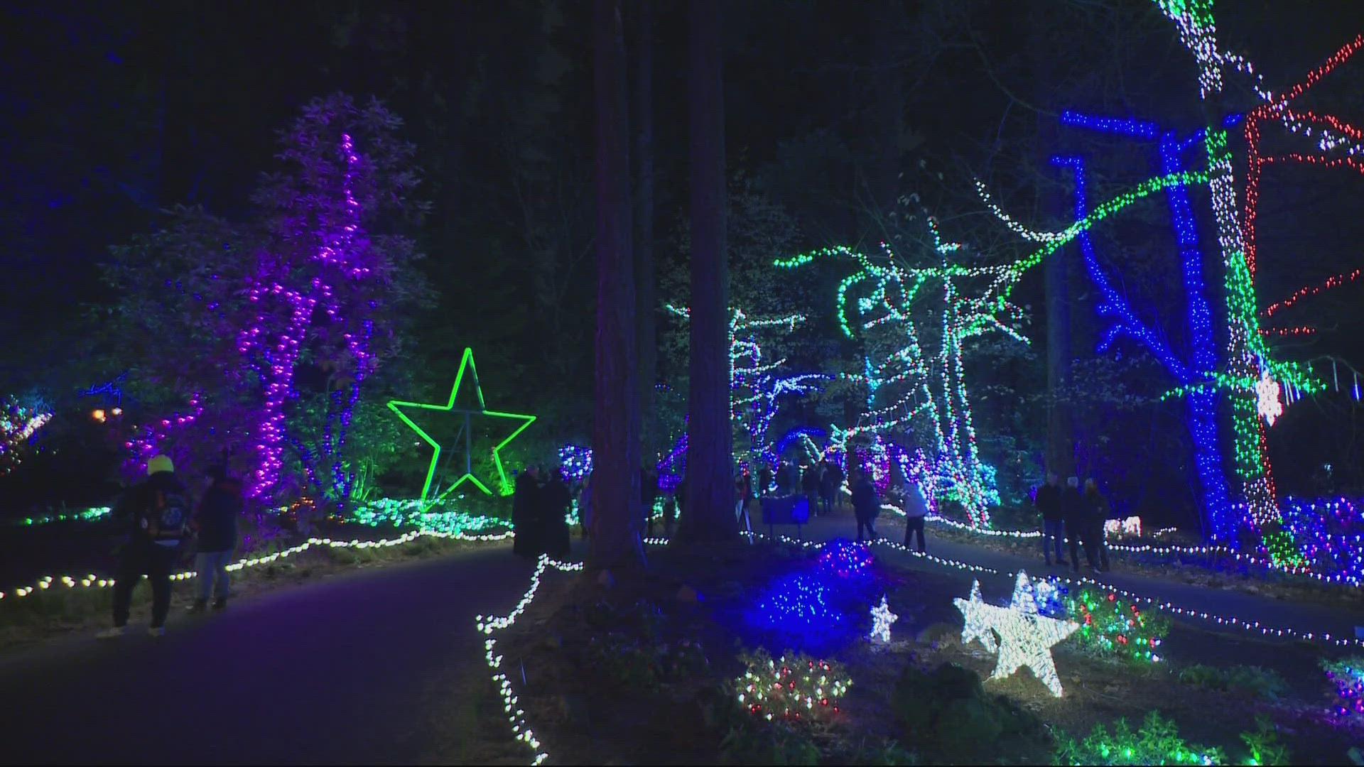 The Grotto at Portland lights up for the holidays | kgw.com