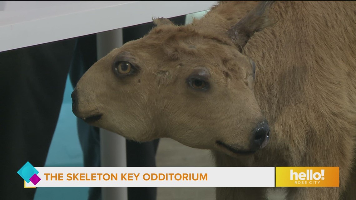 The Skeleton Key Odditorium | kgw.com