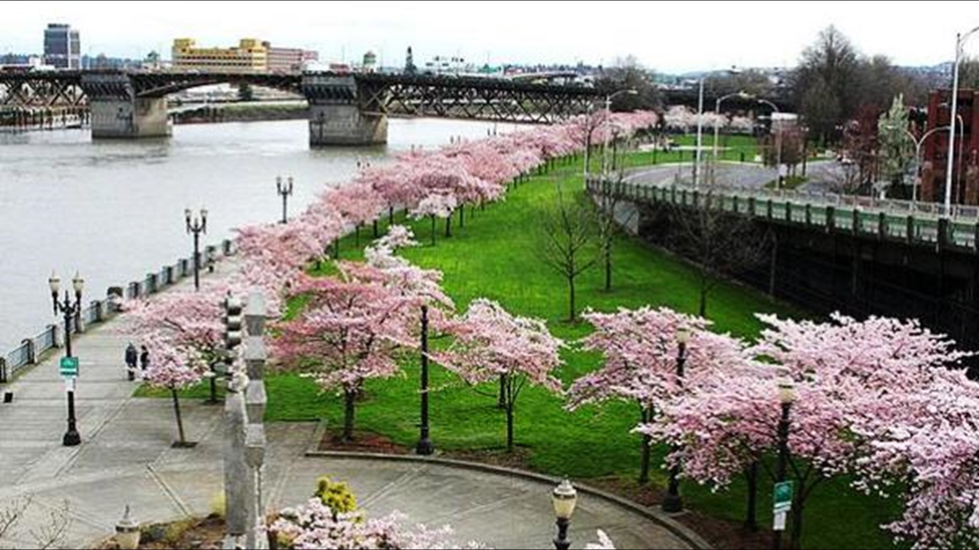 Bob Frasca, architect who helped shape Portland, dies at 84 | kgw.com