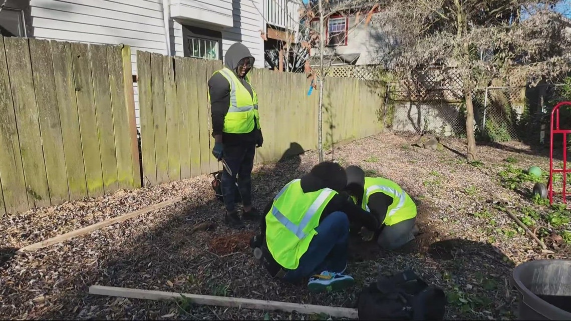More than 70 trees planted in Northeast Portland corridor | kgw.com