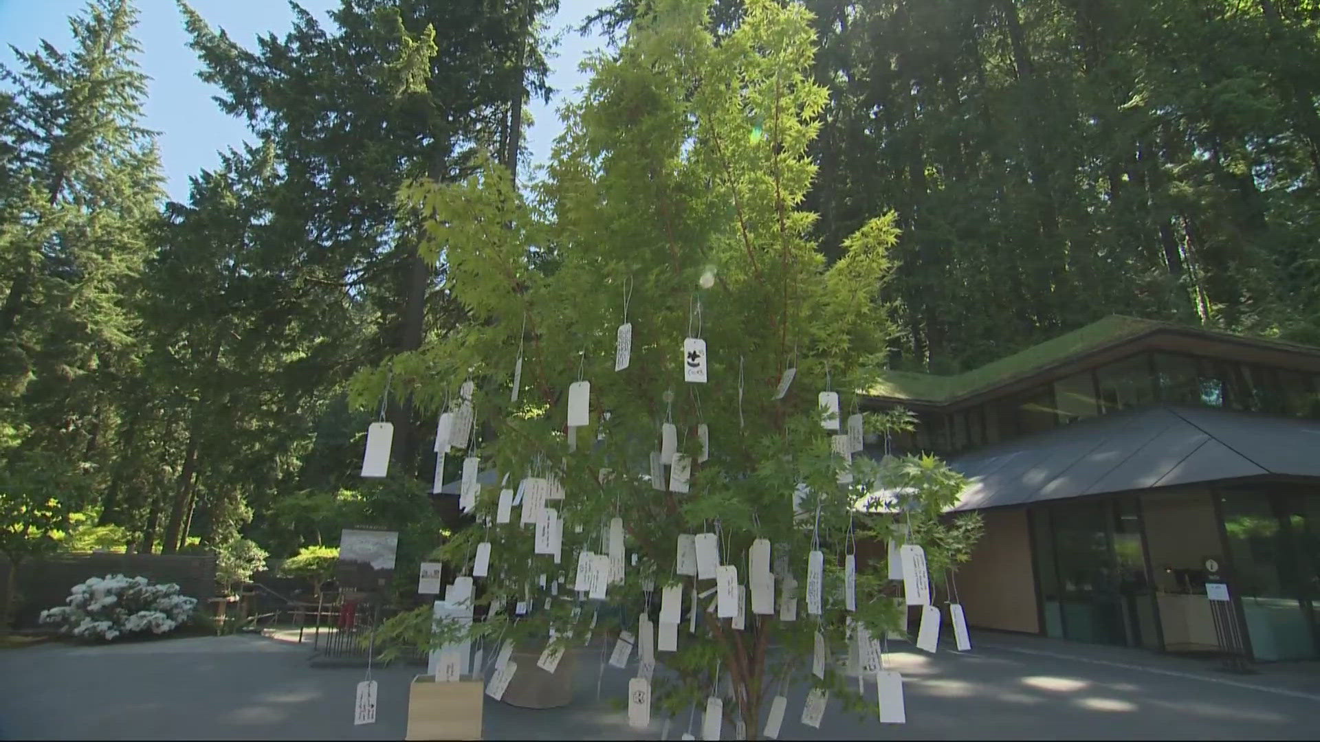 Portland Japanese Garden visitors share messages of peace on Yoko Ono's ...