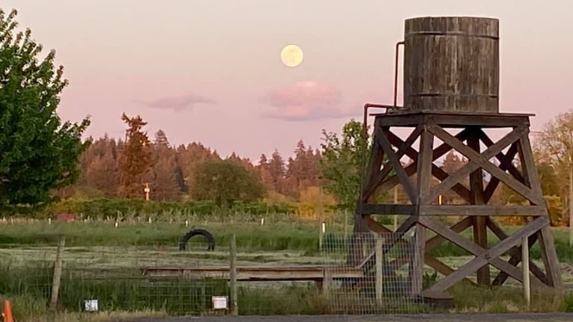 Your photos: 'Flower' supermoon rises over Oregon | kgw.com