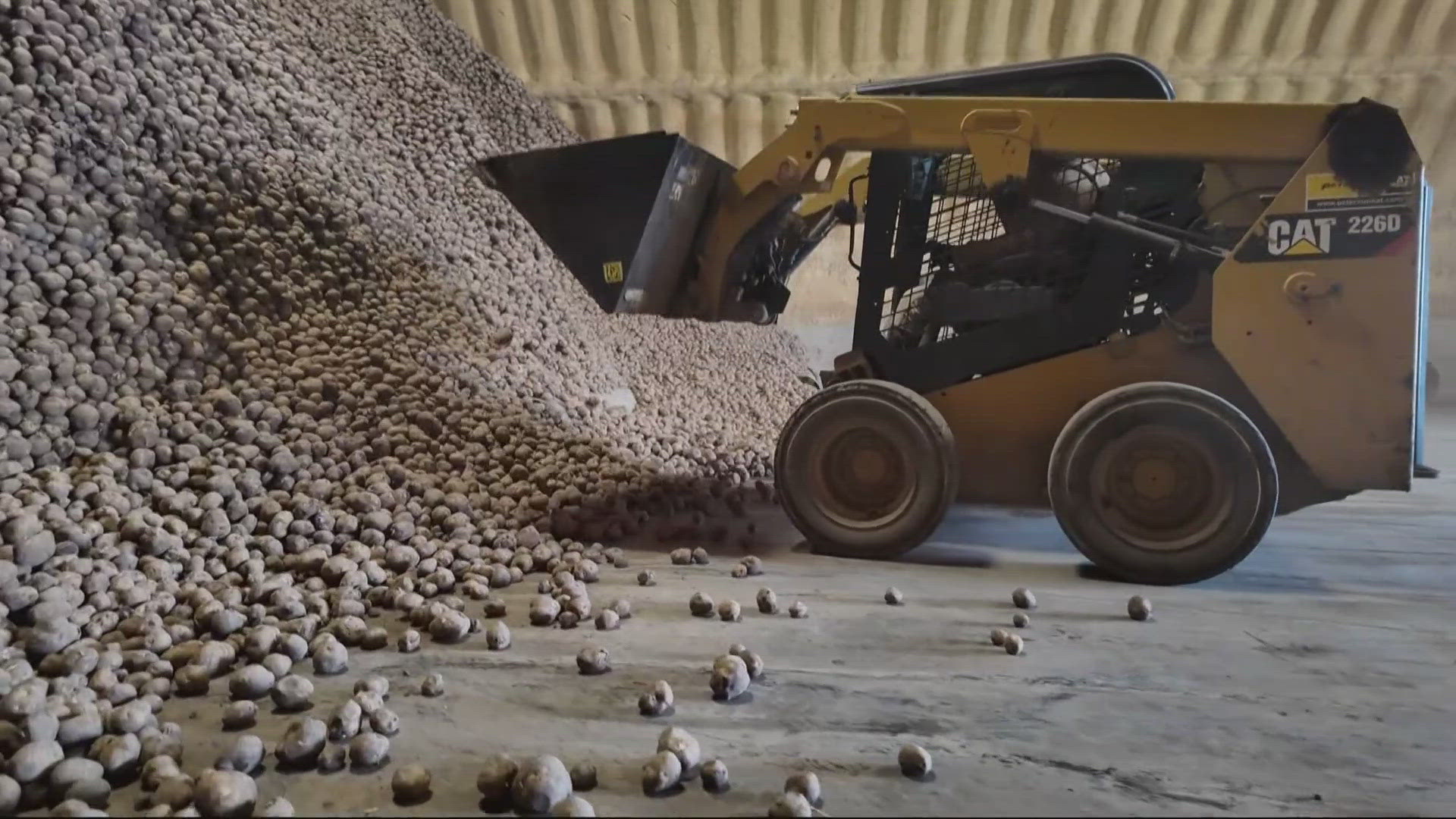 Oregon's unassuming state vegetable is a food industry powerhouse | kgw.com