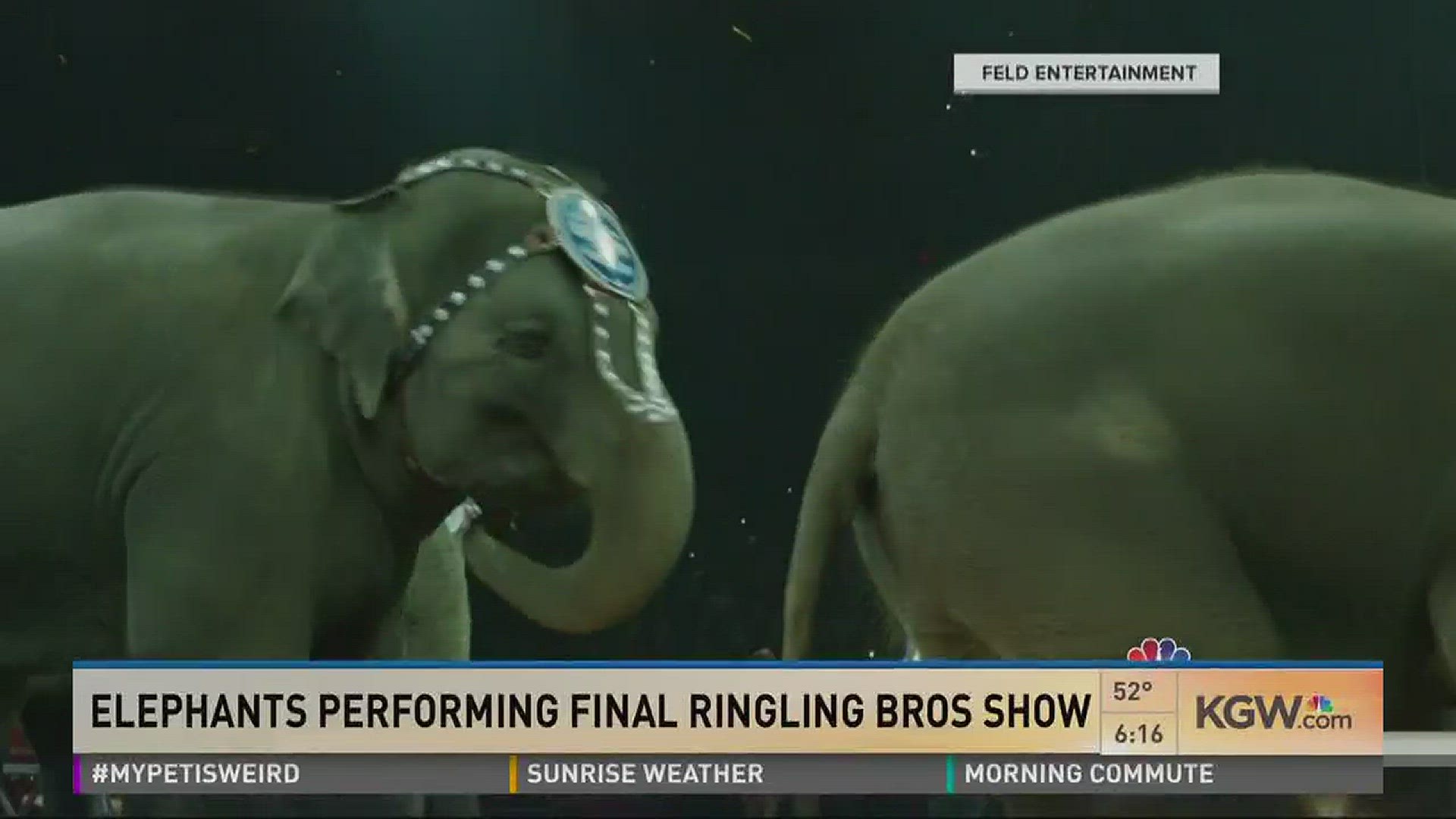 Ringling Bros. elephants retire on Sunday | kgw.com