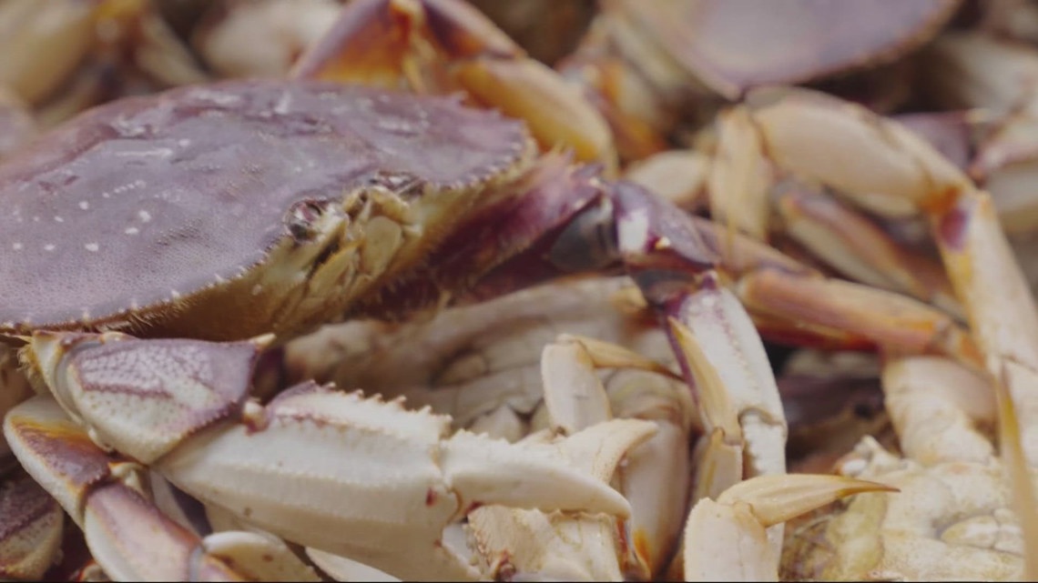 Oregon Dungeness crab season begins soon | kgw.com