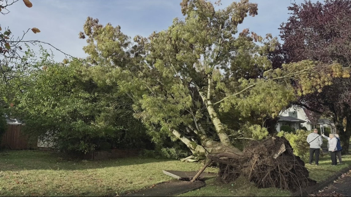 Weekend storms in Oregon, Southwest Washington cause widespread damage ...