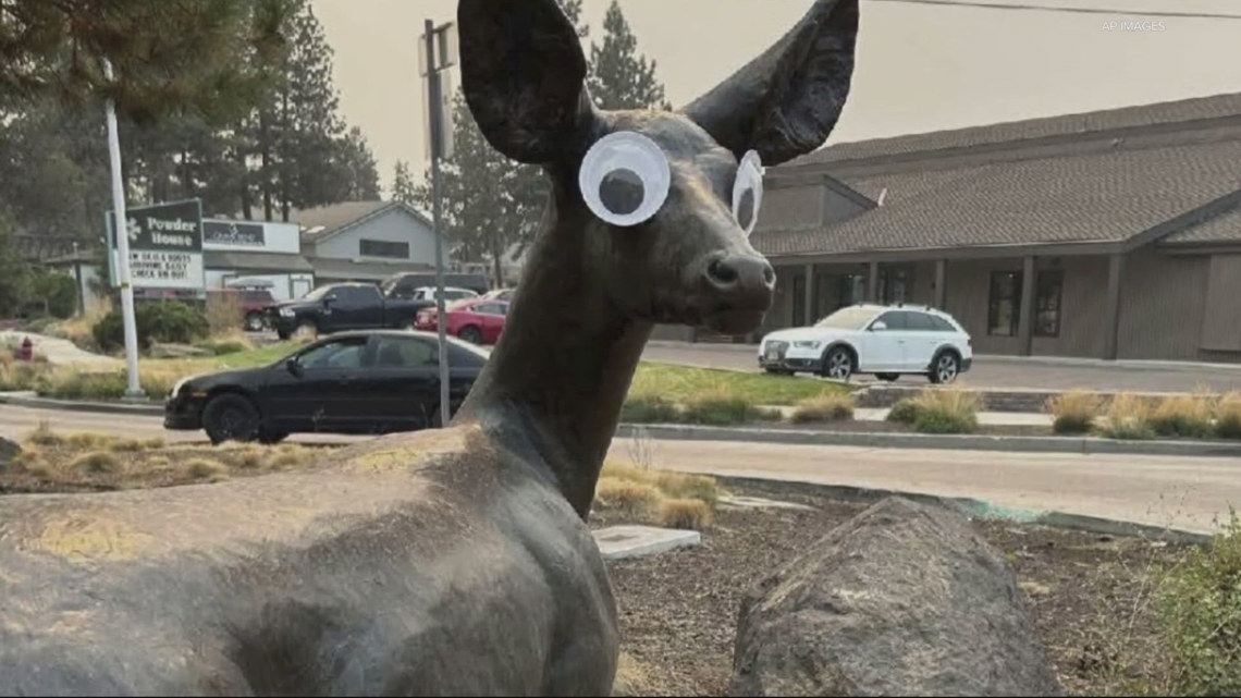 Bend man takes credit for viral googly eyes prank | kgw.com