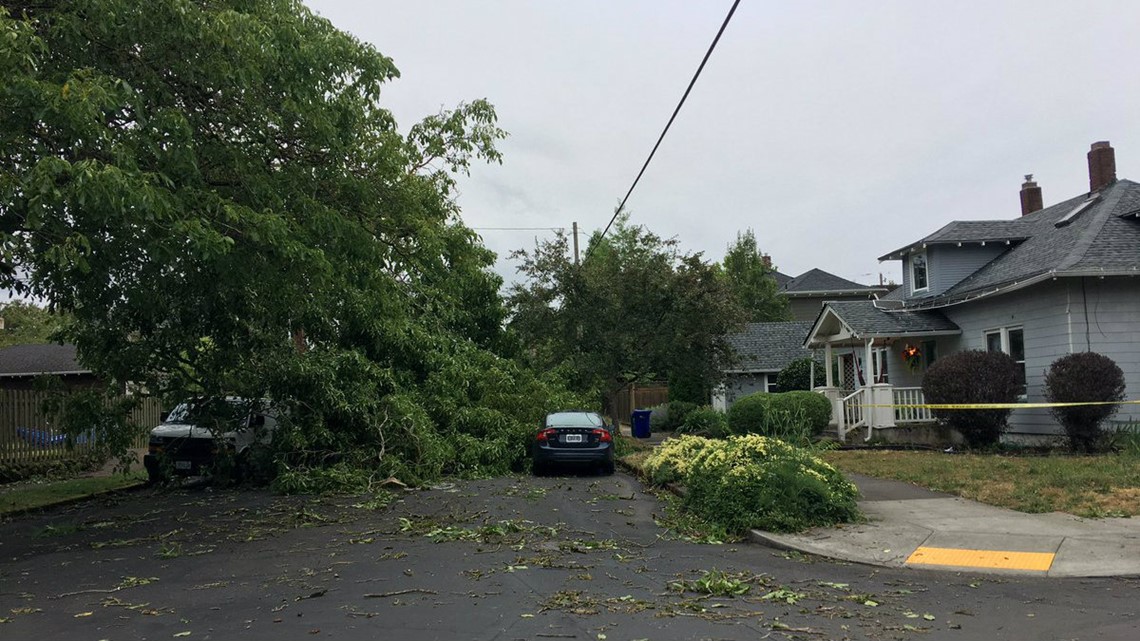 NE Portland tornado uproots trees, bends power poles and other damages ...
