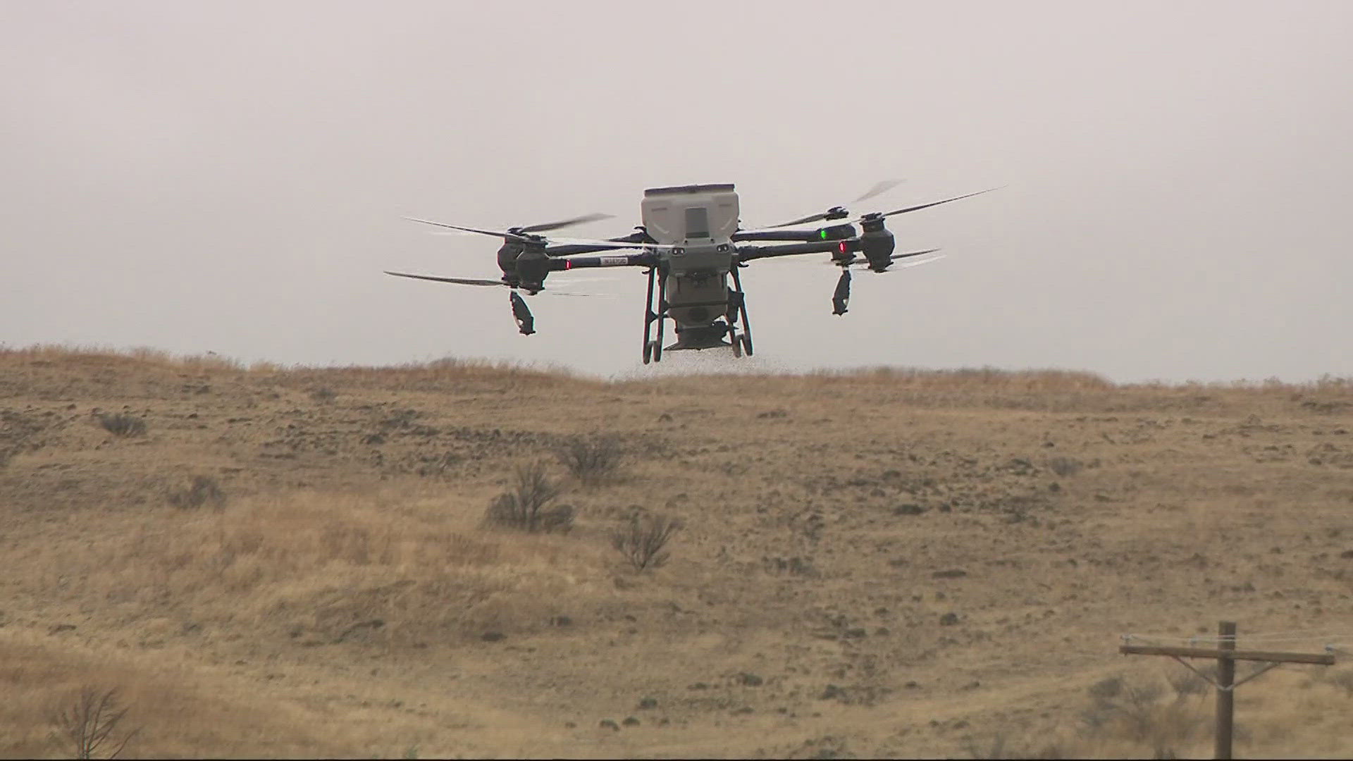 How drones are helping restore Oregon's wildfire-damaged ranchlands | kgw.com