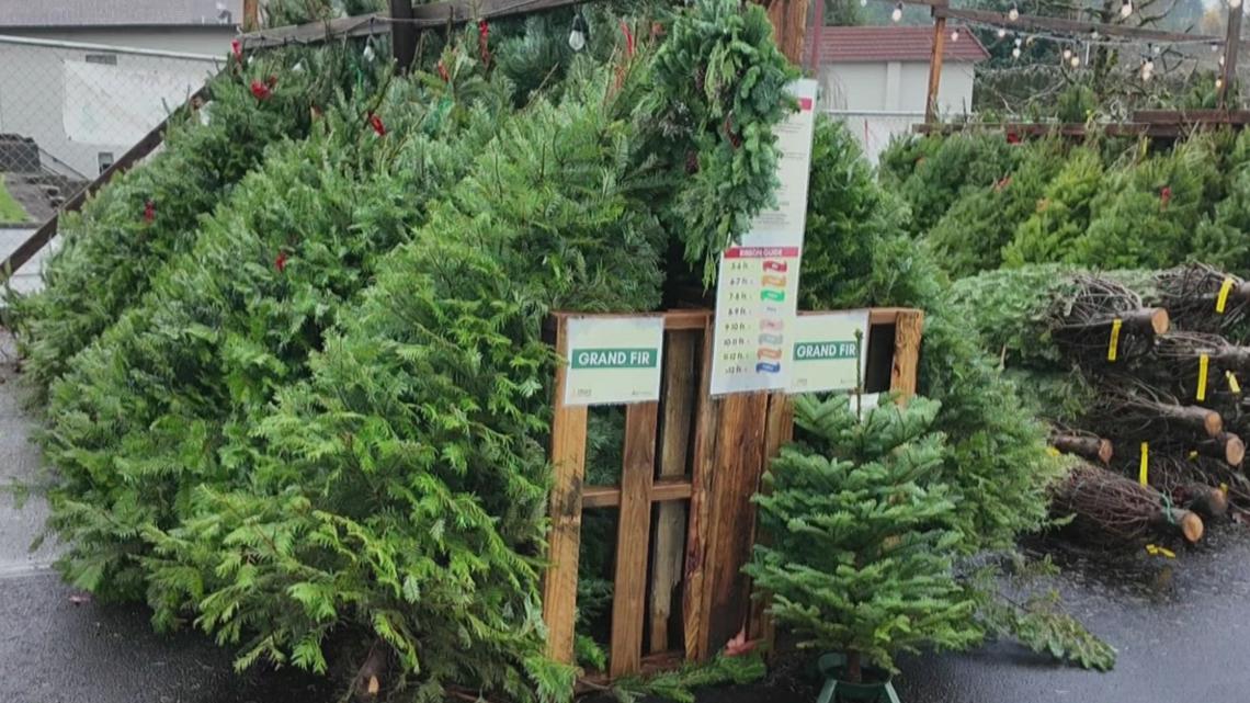 'Trees for Hope' seeks to help those in recovery this holiday season ...