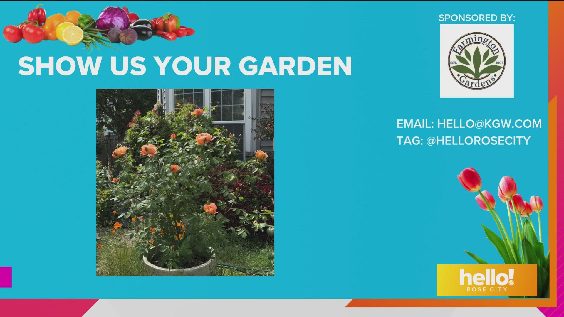 Show us your garden: Roses, peonies and more | kgw.com