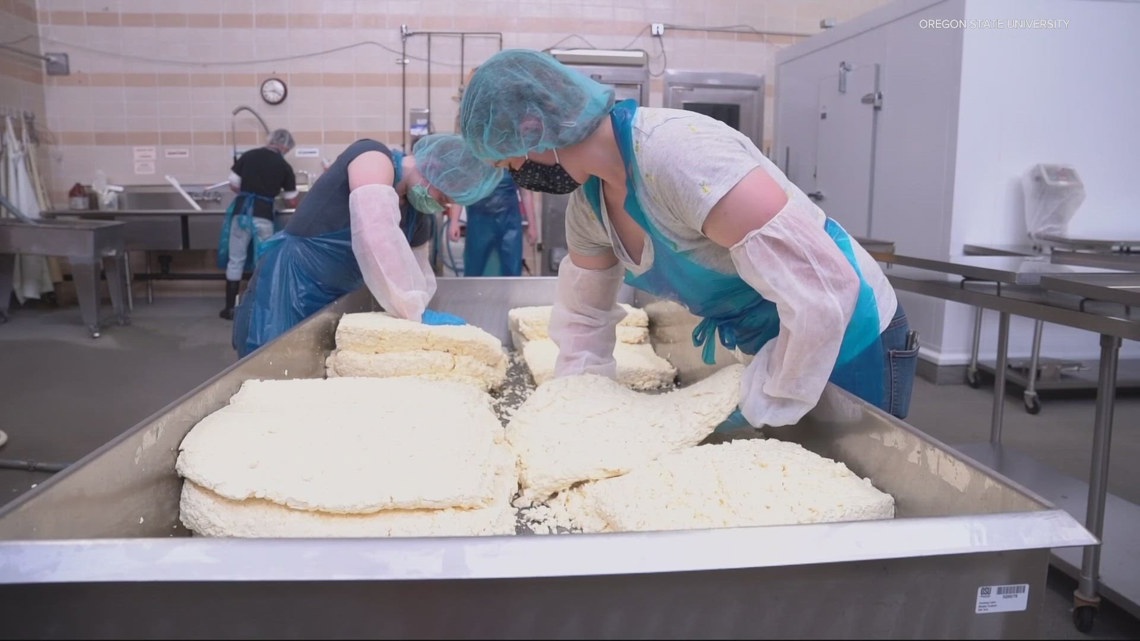 Oregon State University to debut renovated Withycombe Hall | kgw.com