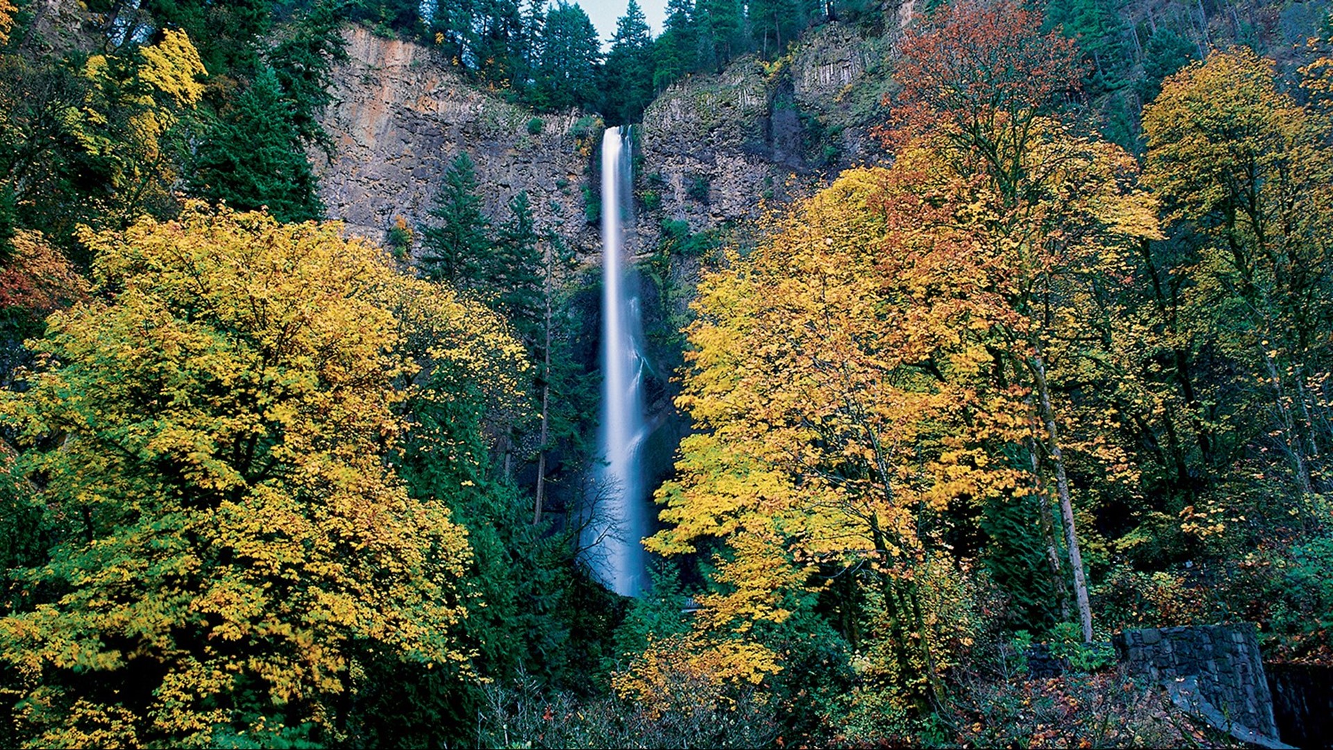 Oregon's 165th birthday: Fun facts about the Beaver State | kgw.com