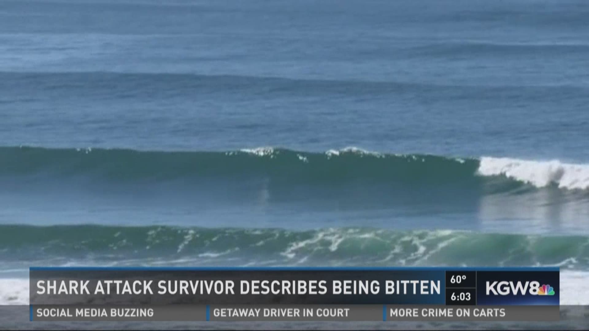 Shark attack survivor shares his story | kgw.com
