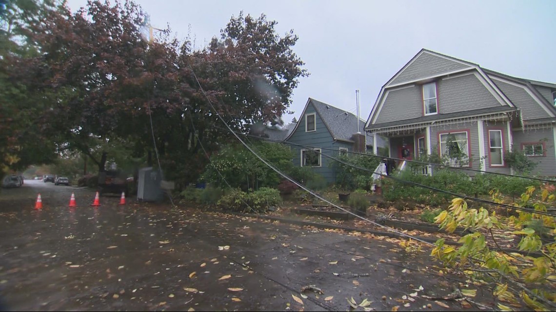 Rain and wind bring down trees and knock out power in Portland | kgw.com
