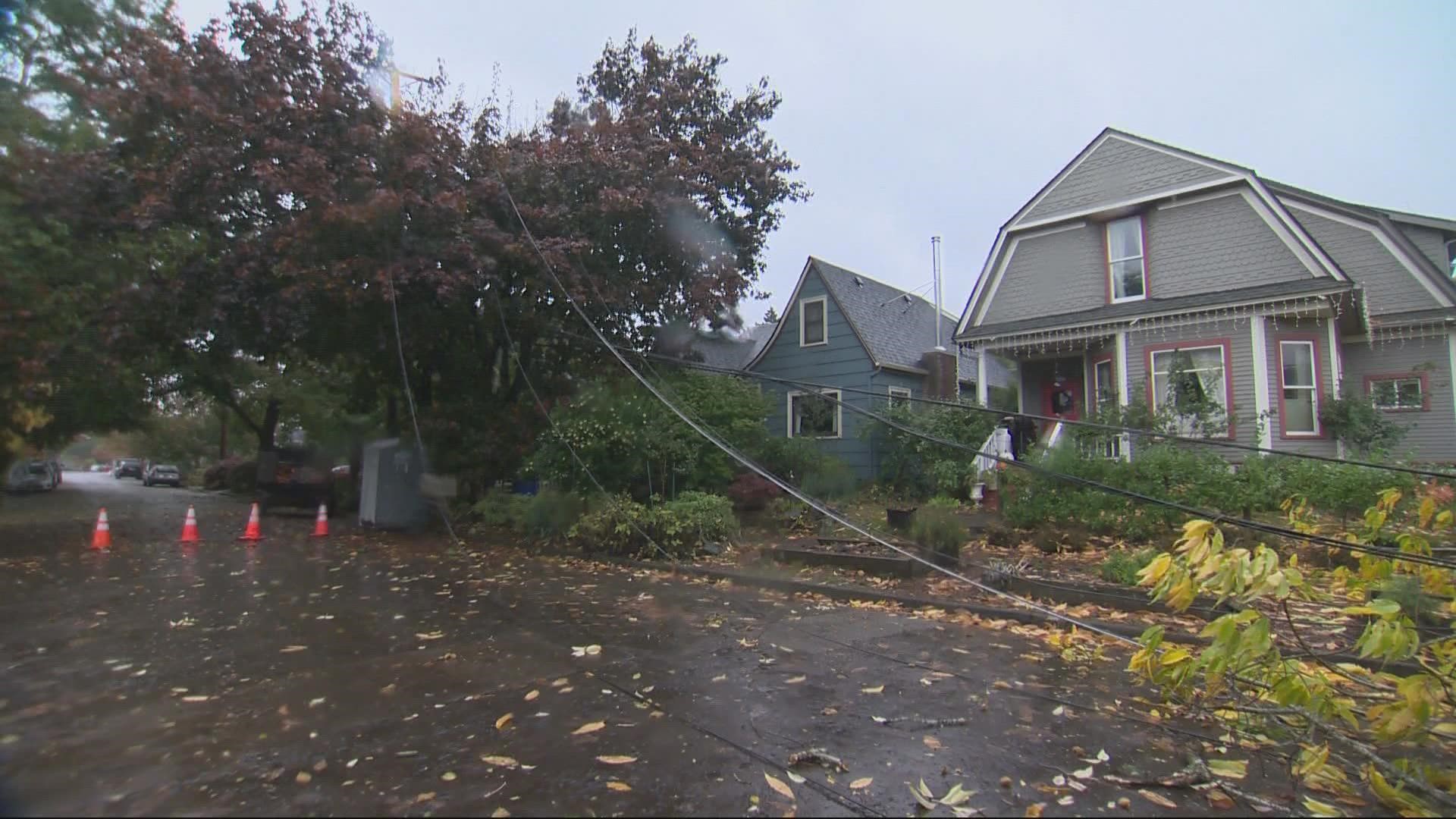 Rain and wind bring down trees and knock out power in Portland | kgw.com