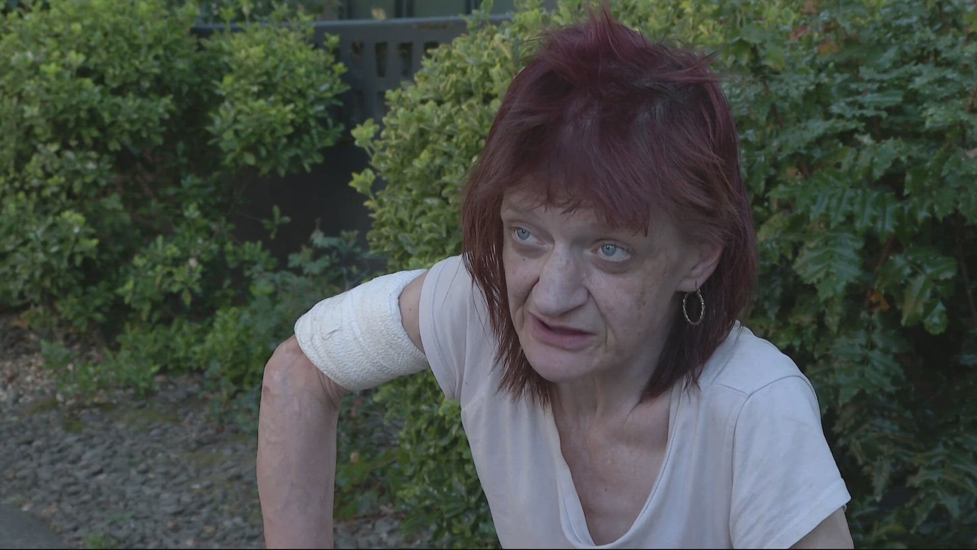 Verify Fact Checking Kgw