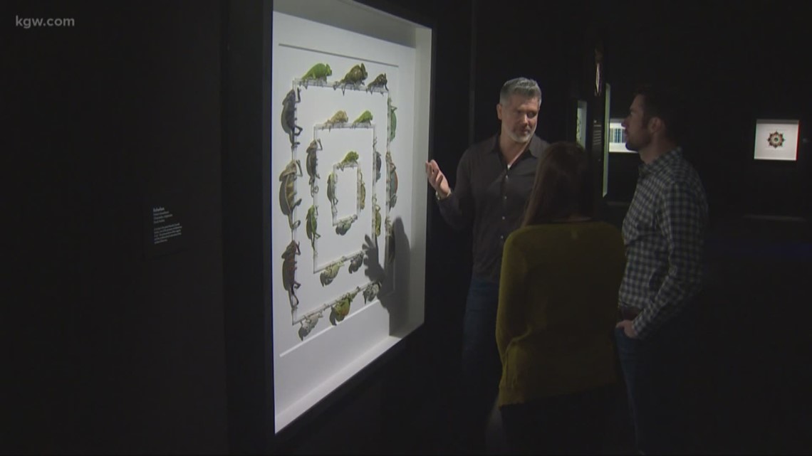 Exquisite Creatures exhibit by Salem artist opens at OMSI | kgw.com