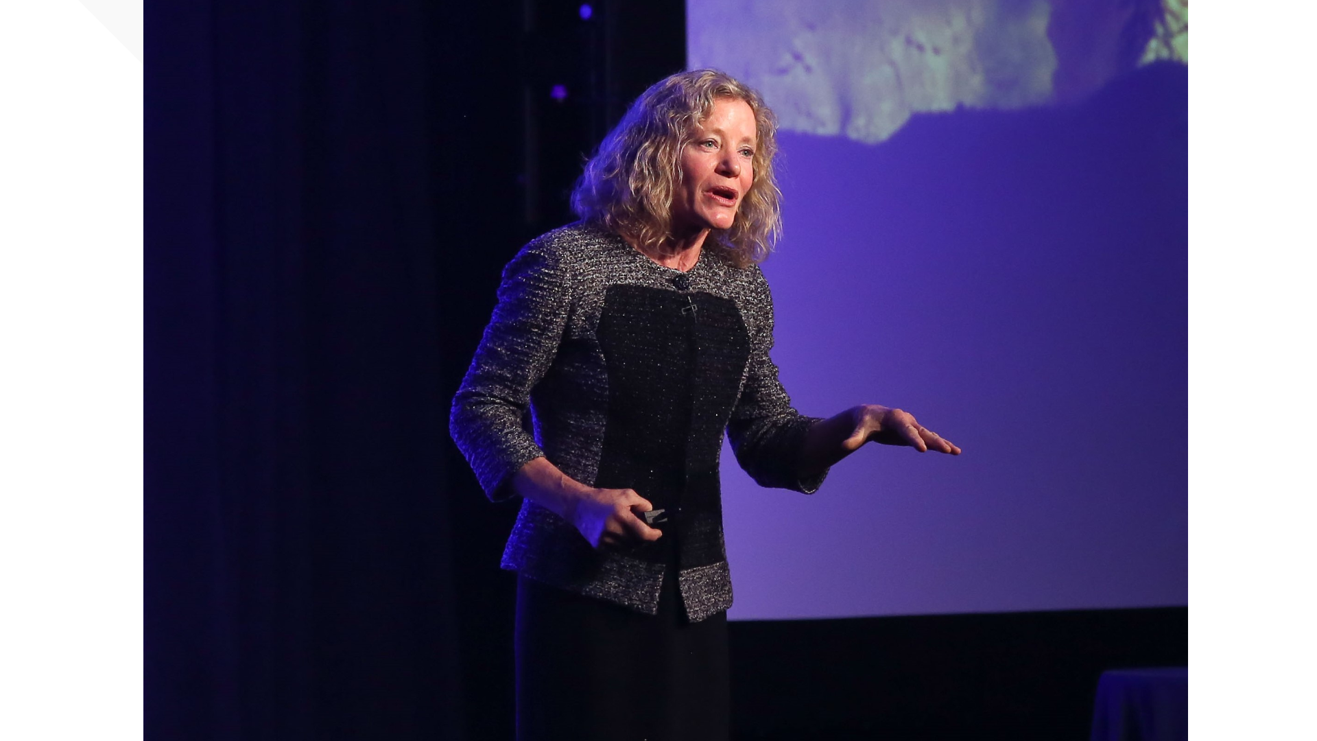 Stacy Allison recalls summiting Everest, overcoming life’s challenges ...