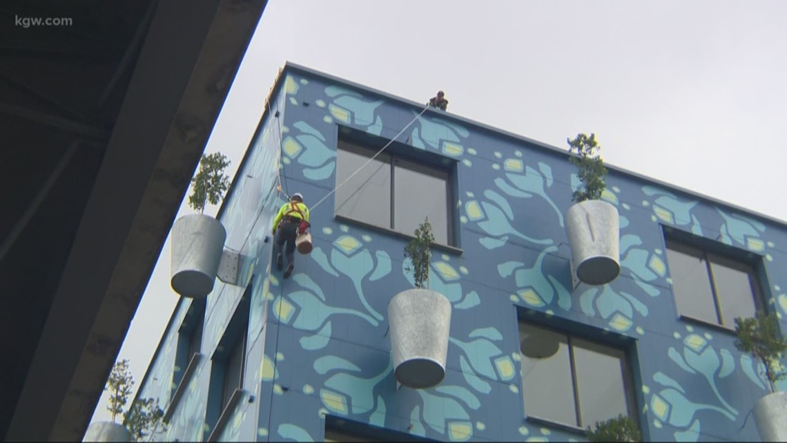 Southeast Portland building covered in living trees | kgw.com