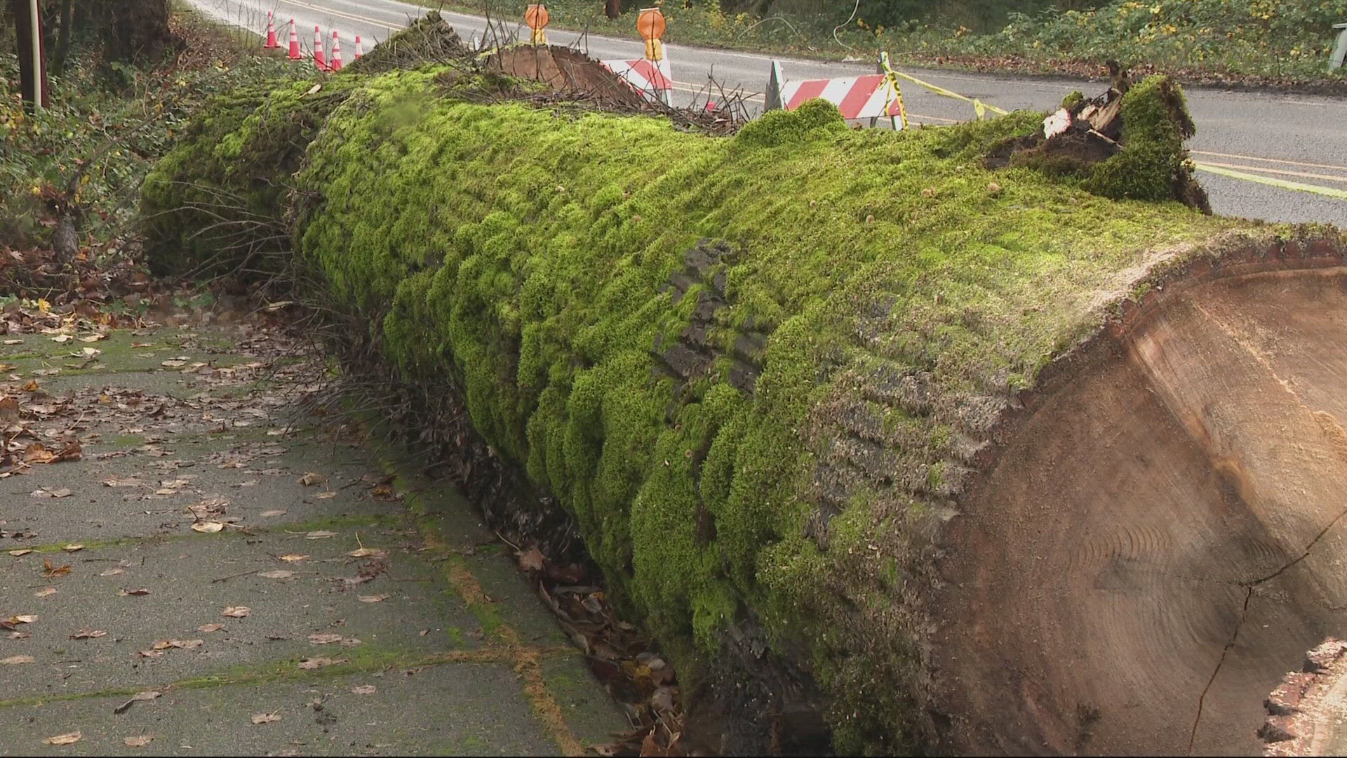 When is fall? | kgw.com