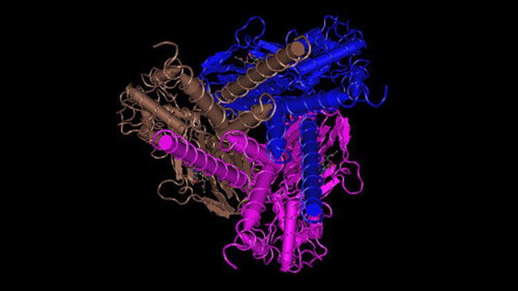 World's most powerful microscopes to study diseases, viruses at OHSU ...