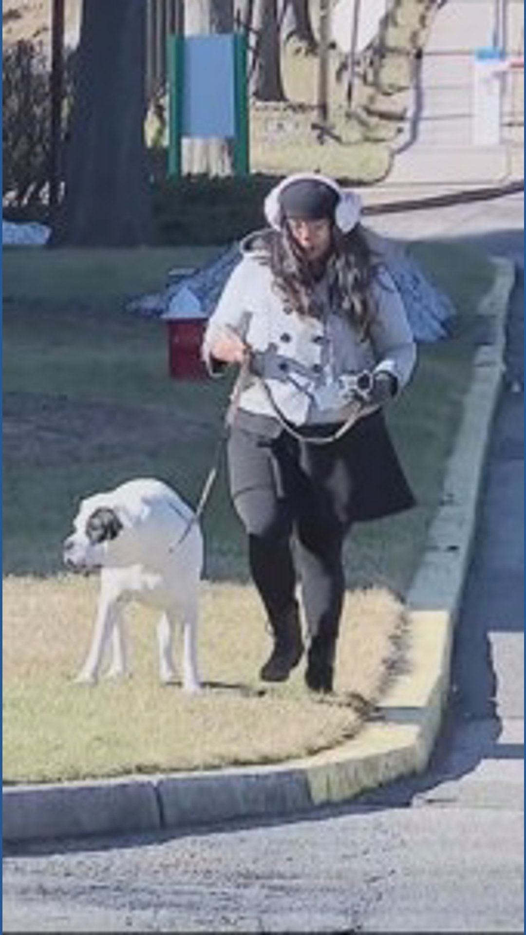 This company is testing the DNA in dog poop to find which owners aren't ...