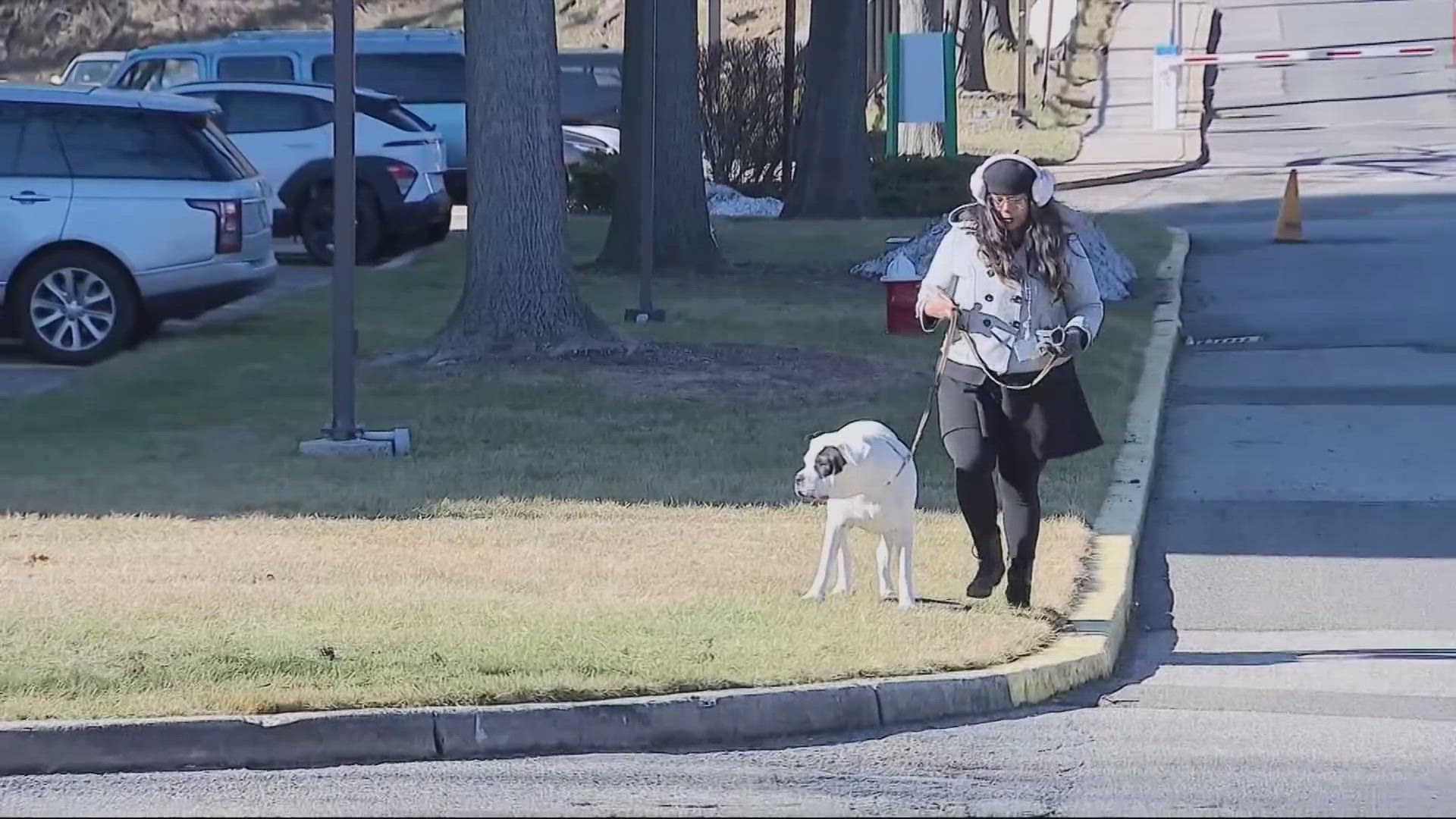 This company is testing the DNA in dog poop to find which owners aren't ...