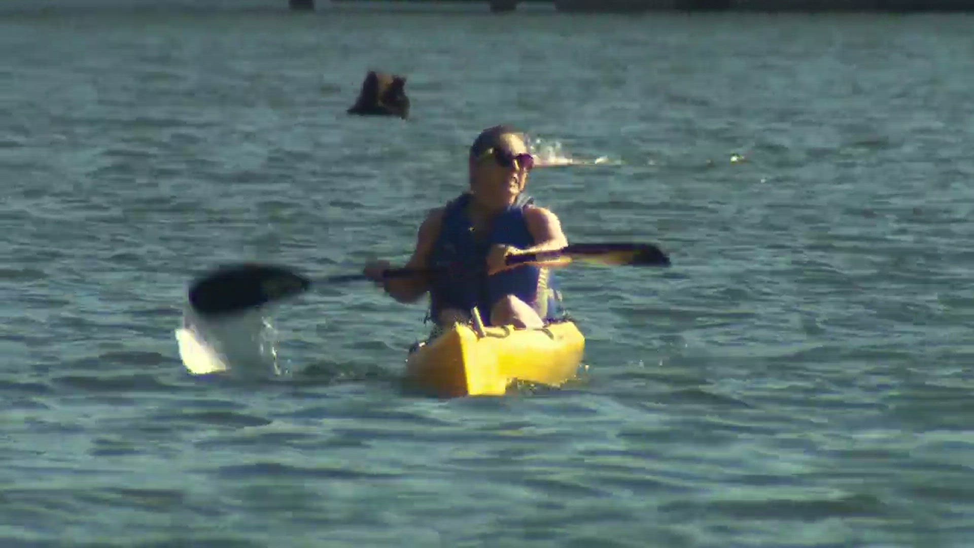 How fast can Kayak Sprinters go? | kgw.com