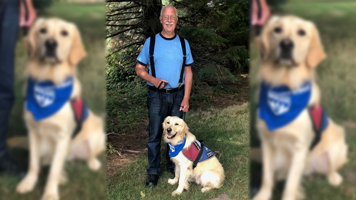 'I feel alive inside again': Vietnam veteran gets service dog | kgw.com