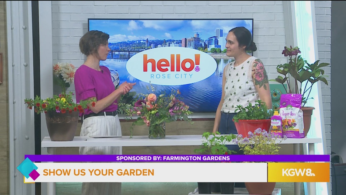 From perennials, annuals, even cut flowers, Farmington Gardens has a ...