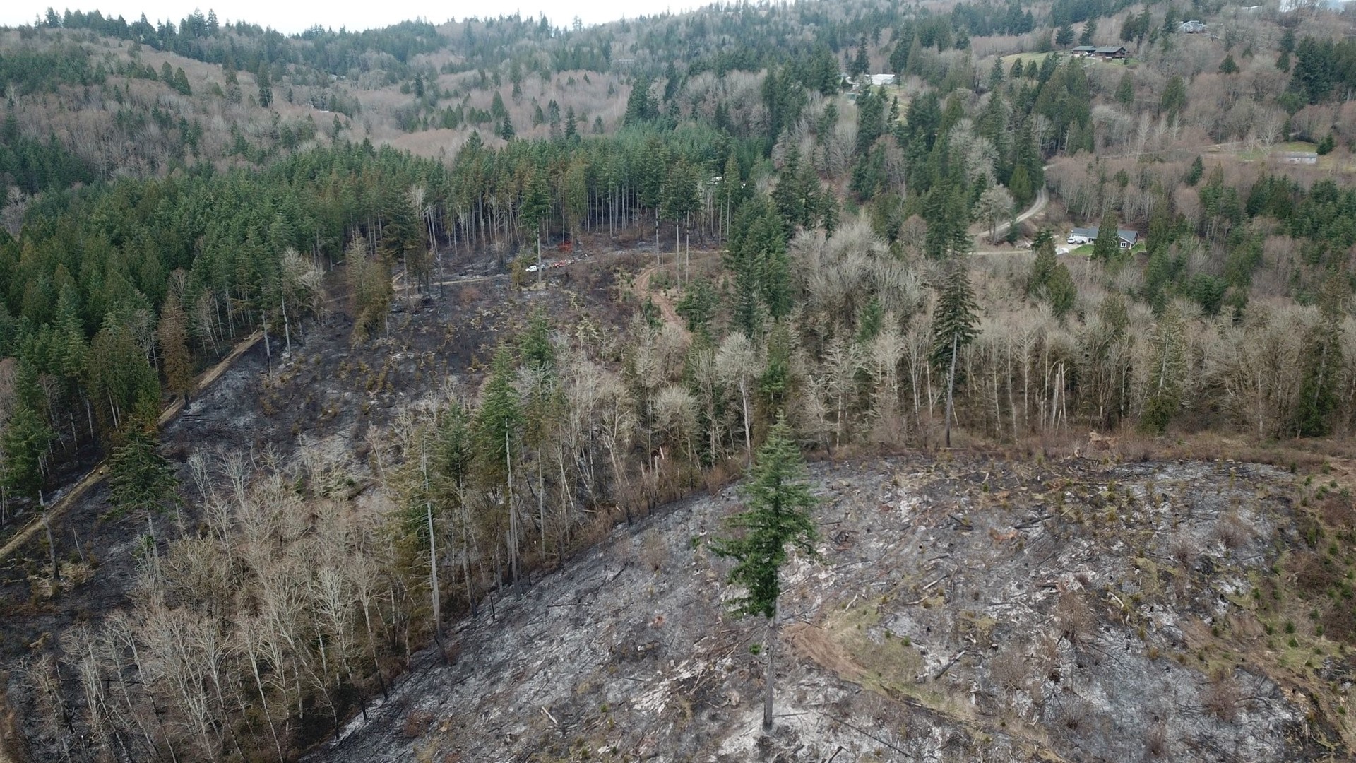 Fire in Cowlitz County fully contained; burn ban lifted | kgw.com