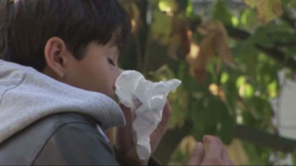 Eugene, Willamette Valley grass pollen levels off the charts | kgw.com
