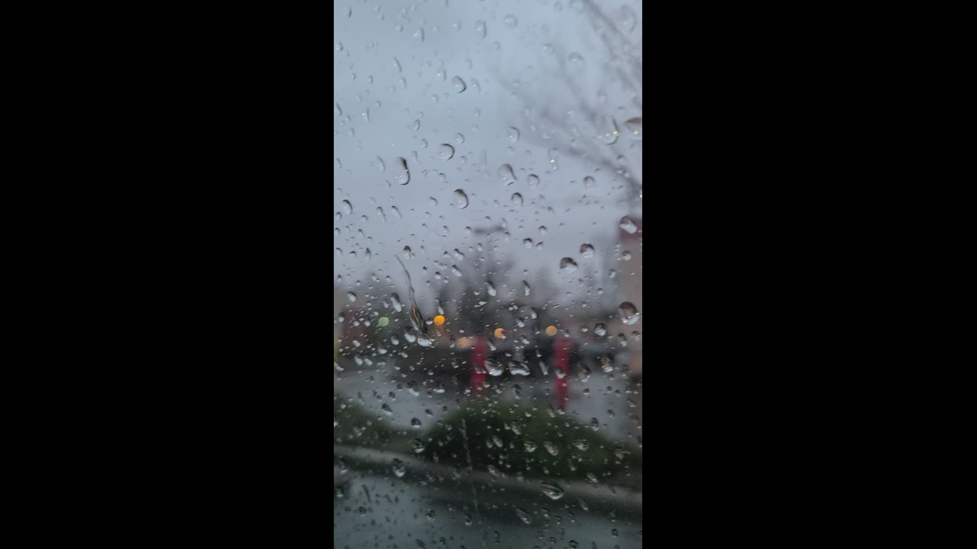 Weather Active Rain Pouring Down Near NE Portland Hollywood District ...