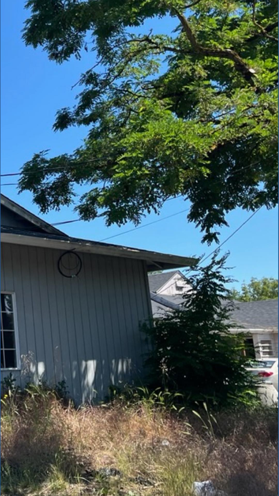 Portland apartment fire ruled arson, investigators seek witnesses | kgw.com