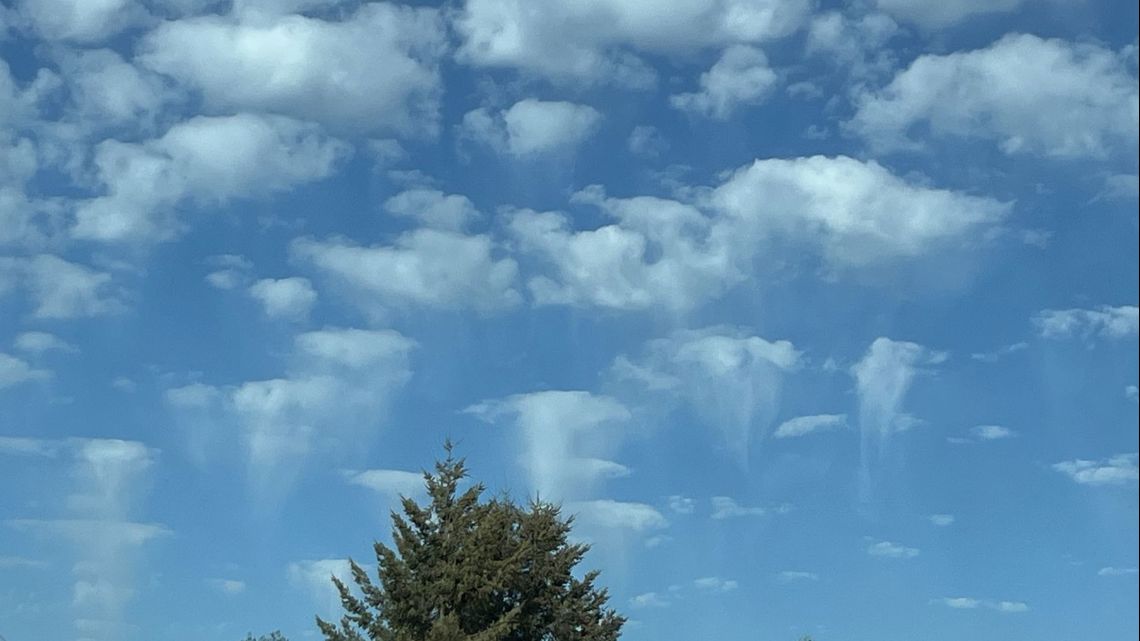 PHOTOS: Portlanders share 'jellyfish clouds' drifting over area | kgw.com