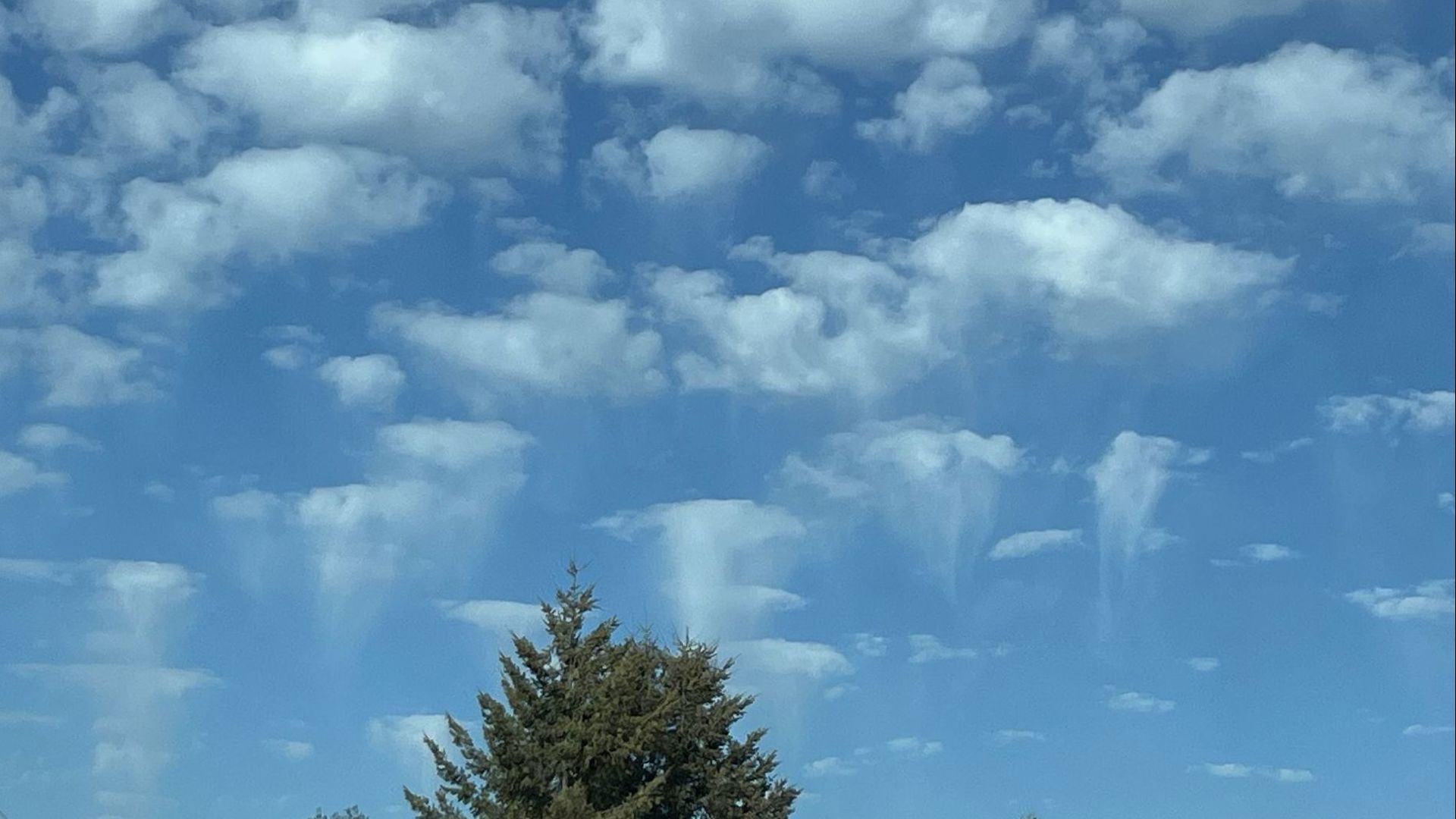 Why do some Portland clouds look like jellyfish? | kgw.com