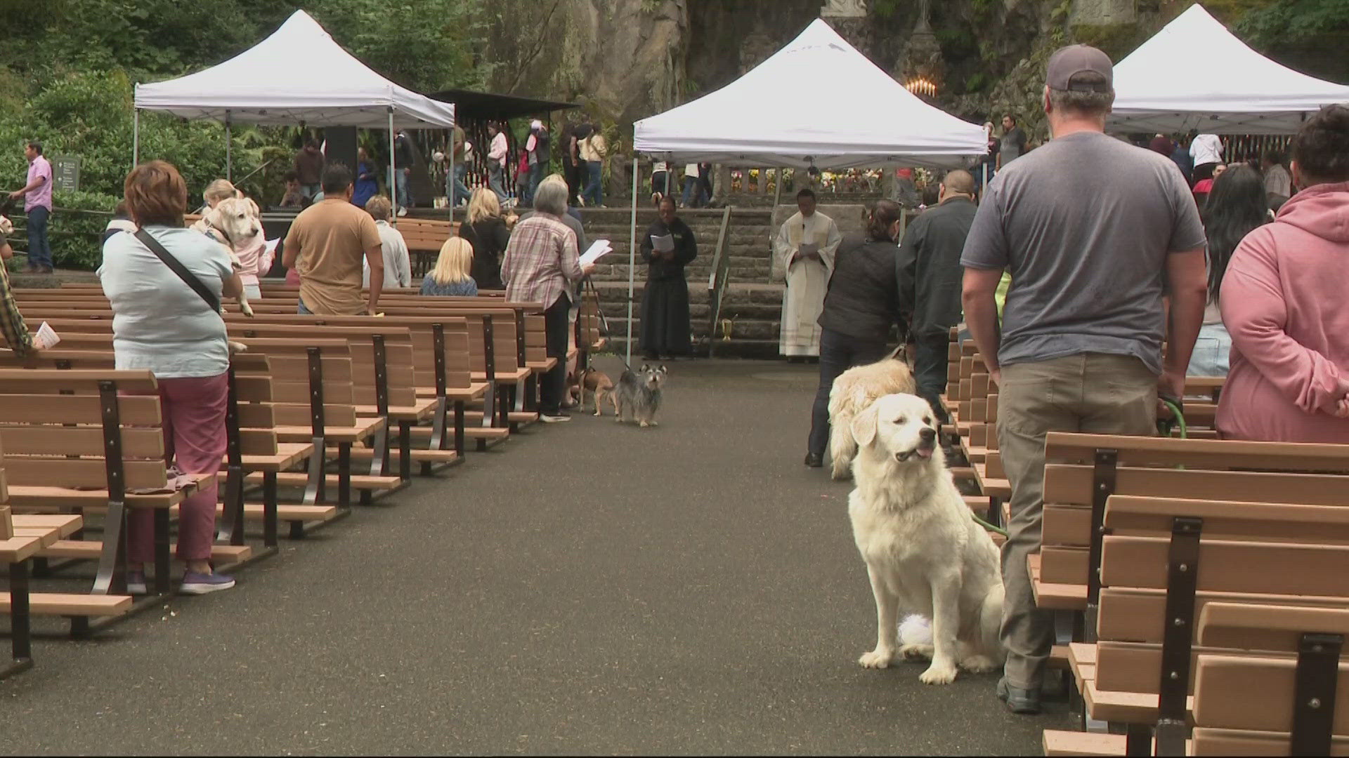 The Grotto hosts 41st annual Blessing of the Animals | kgw.com