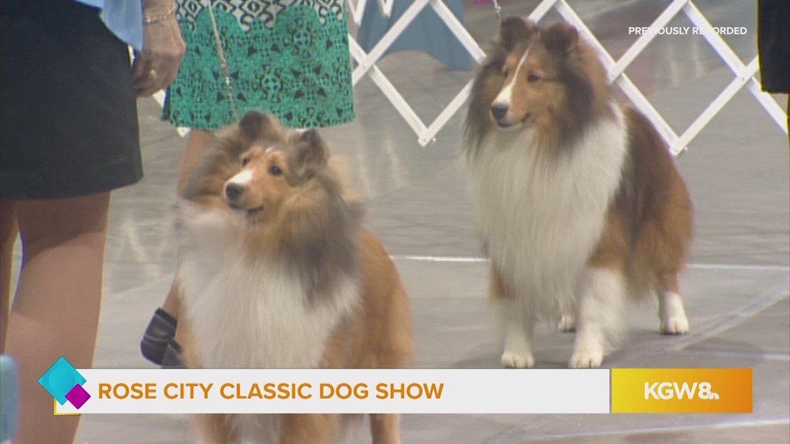 The Rose City Classic Dog Show is at the Portland Expo Center | kgw.com