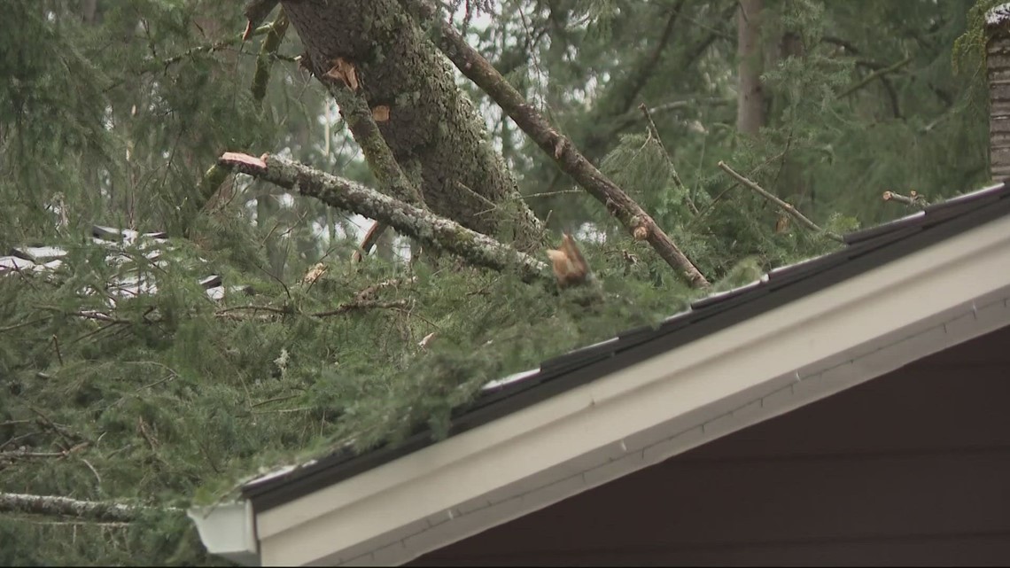 2 people dead and many without a home after high winds knock over trees ...